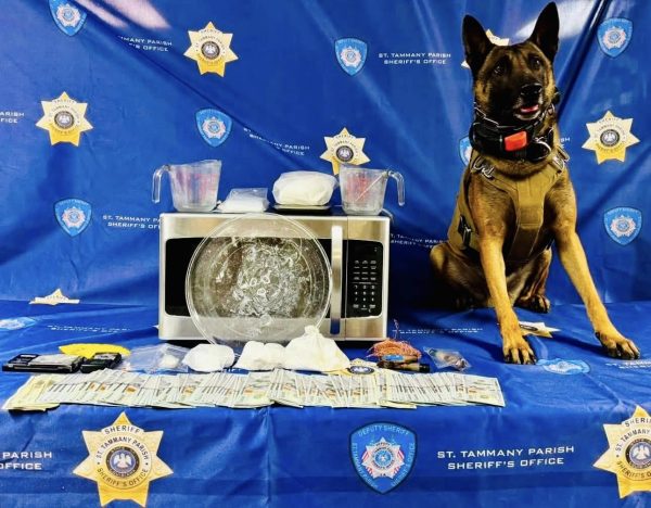 Drug Bust After STPSO Traffic Stop | Northshore Media Group